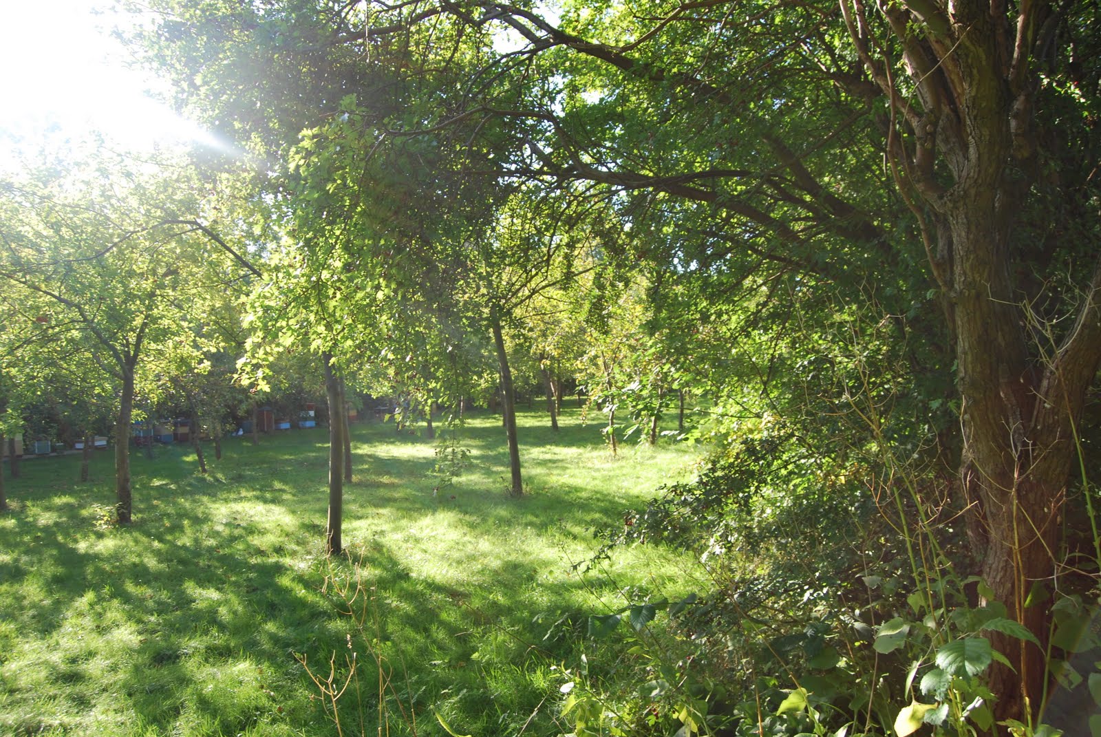 Sitting, Waiting, Wishing!: Alnarp Landscape Laboratory