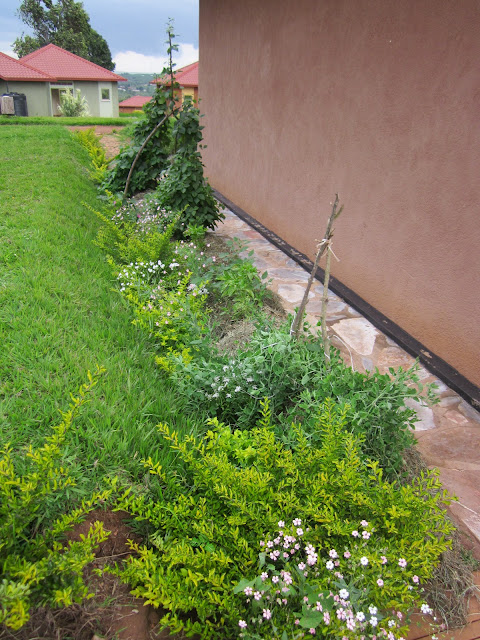 A Garden Love Affair in Rwanda: Gardens and what they say about you...