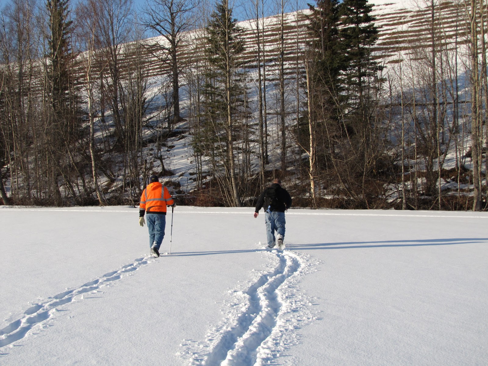AKStafford: Another Beautiful Winter Day in Alaska at Matanuska Lake