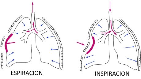 Revision Casos De Cirugia General: TORAX INESTABLE O TORAX FLOTANTE: