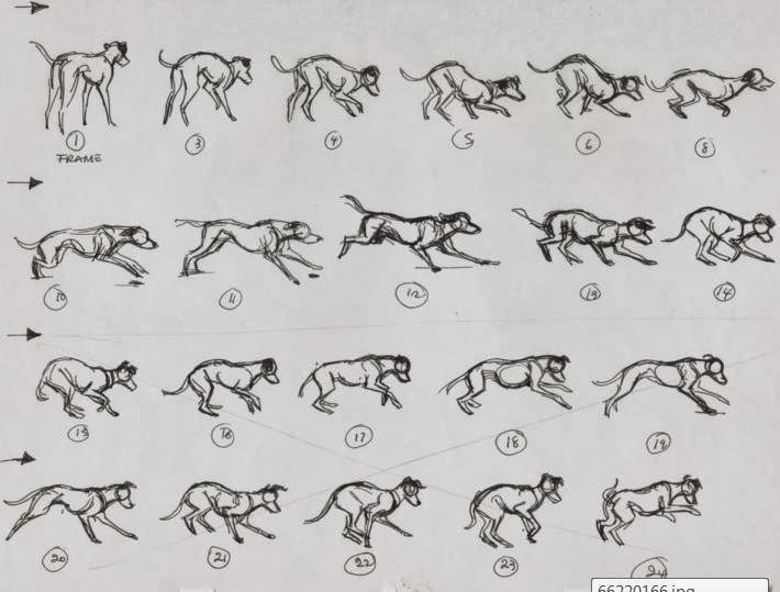 Stuff You Look: Step-To-Step Animation process