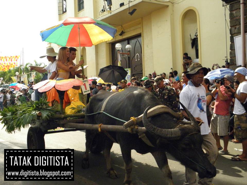 foydi finds: Stored Treasure: Wowed by the Carabaos! -- The Pulilan ...