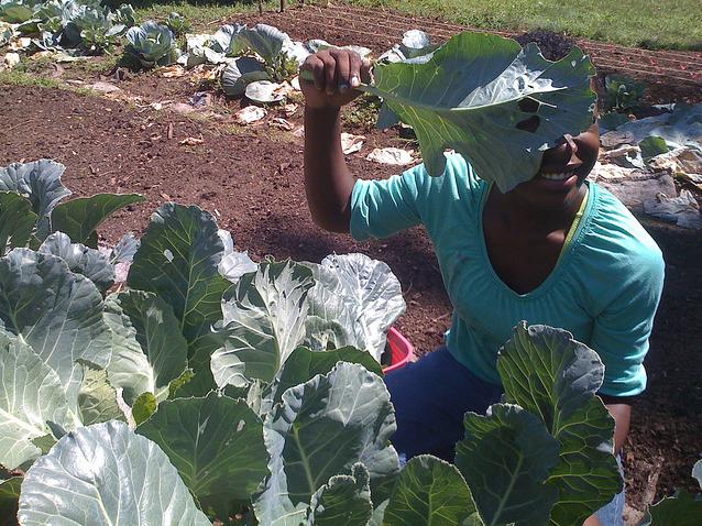 bk farmyards: GET INVOLVED!