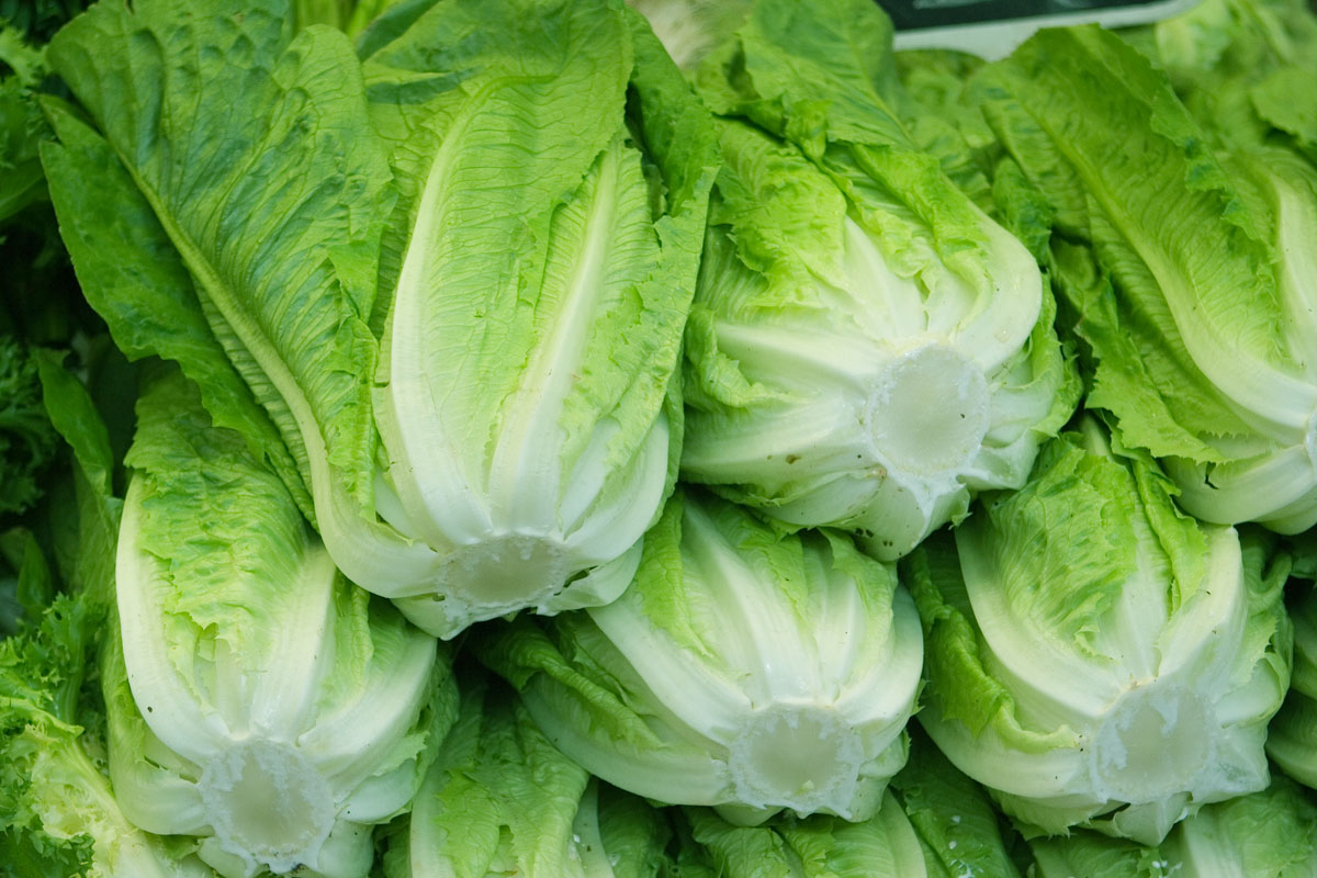 Crema fría de lechuga | Nutrición a las 6