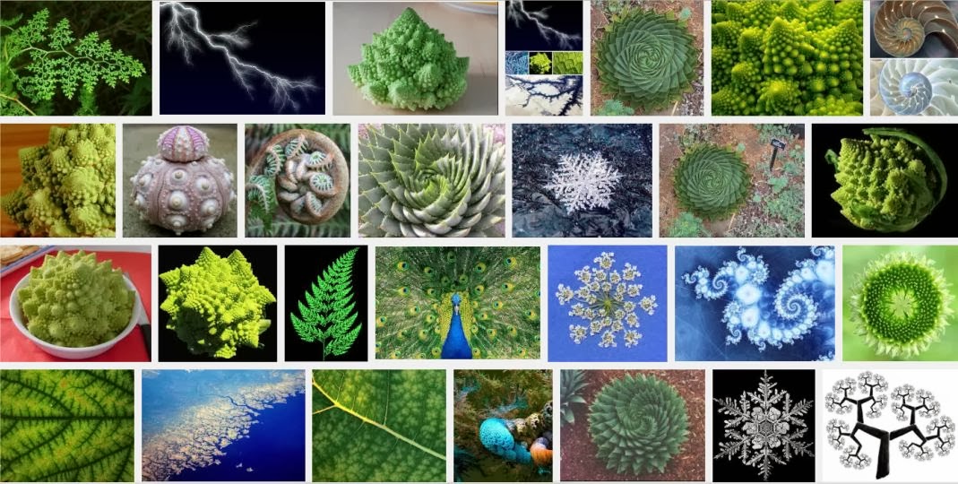 motherindia: fractals in nature 'n' more