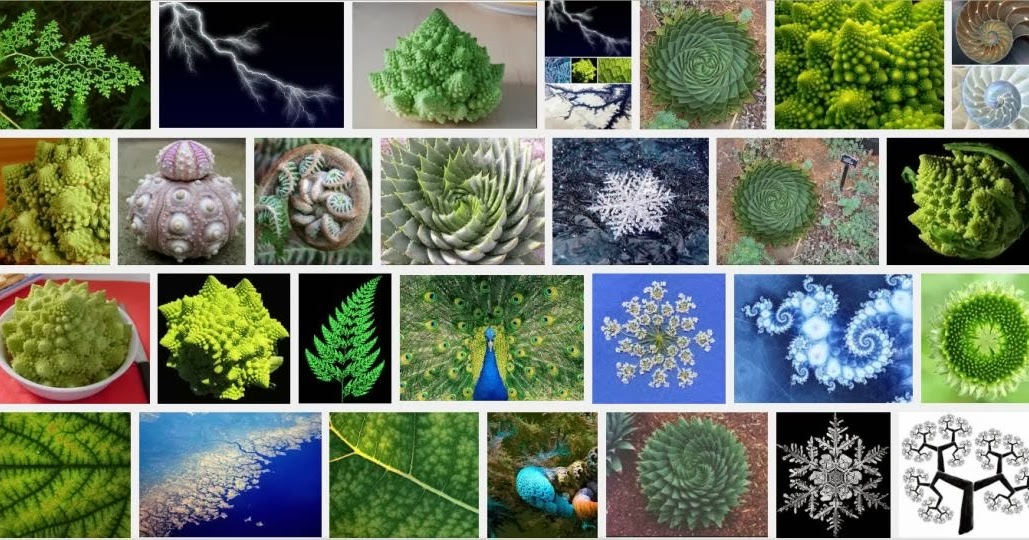 motherindia: fractals in nature 'n' more