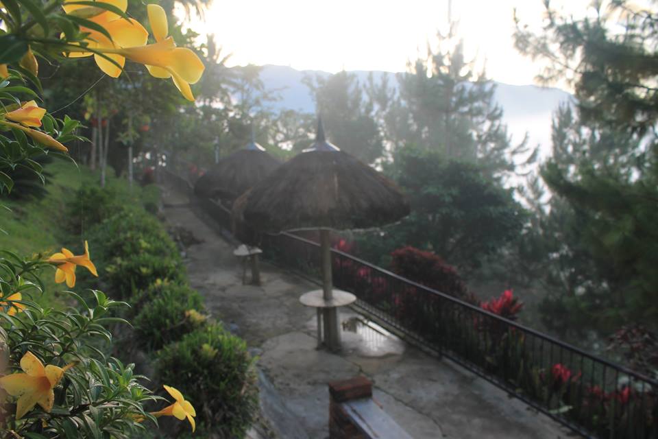 Breathtaking View of Haven's Peak - Maragusan Tour - Madayaw Davao