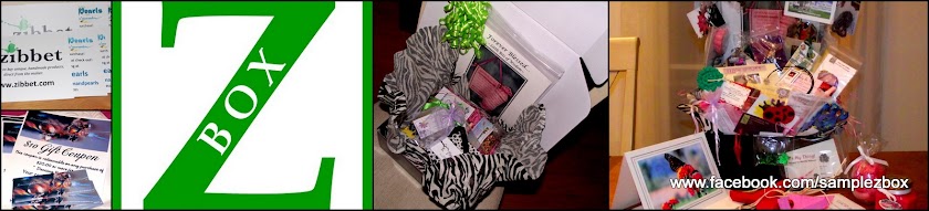 Z Box: Z Box Information