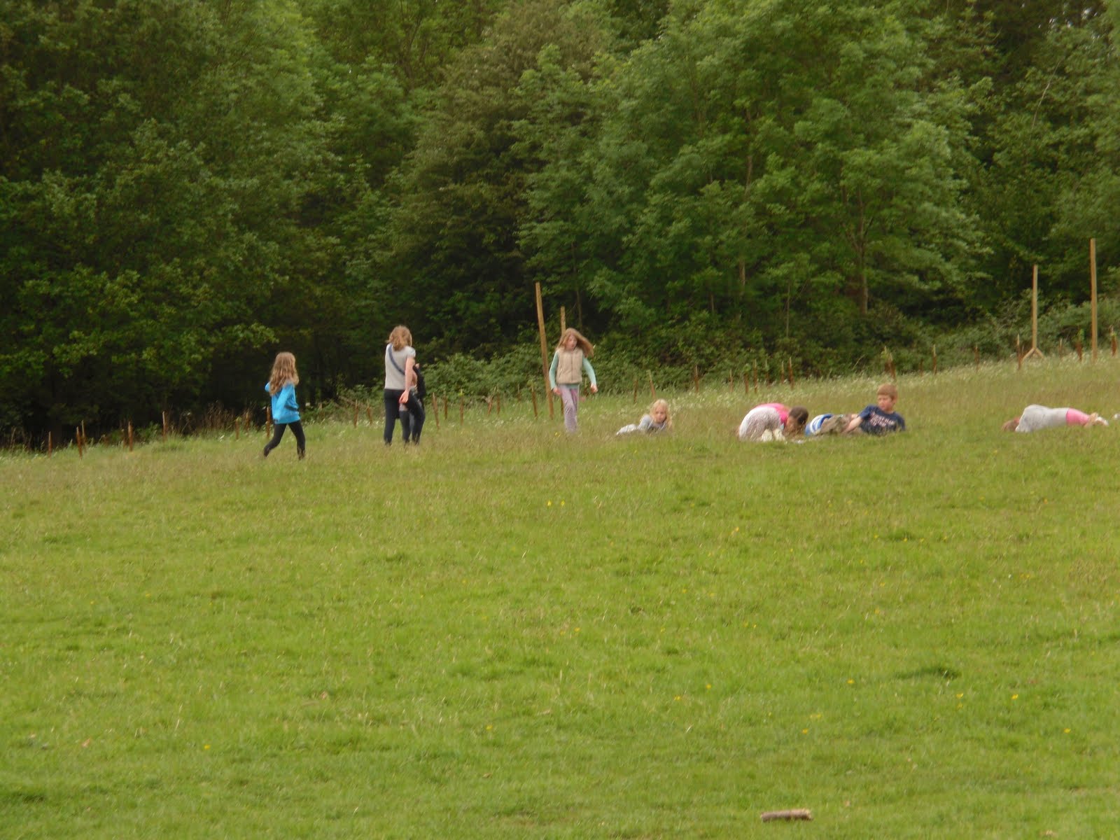 Shoreham Village School: Sayers Croft - Day 3