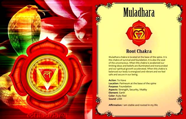 Muladhara Chakra In Tantra Yoga Root Chakra And Kundalini Shakti ...