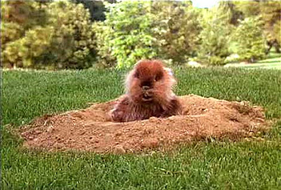 LetsGoDU: NY Times: UND Fans Throw Dead Gophers On Ice