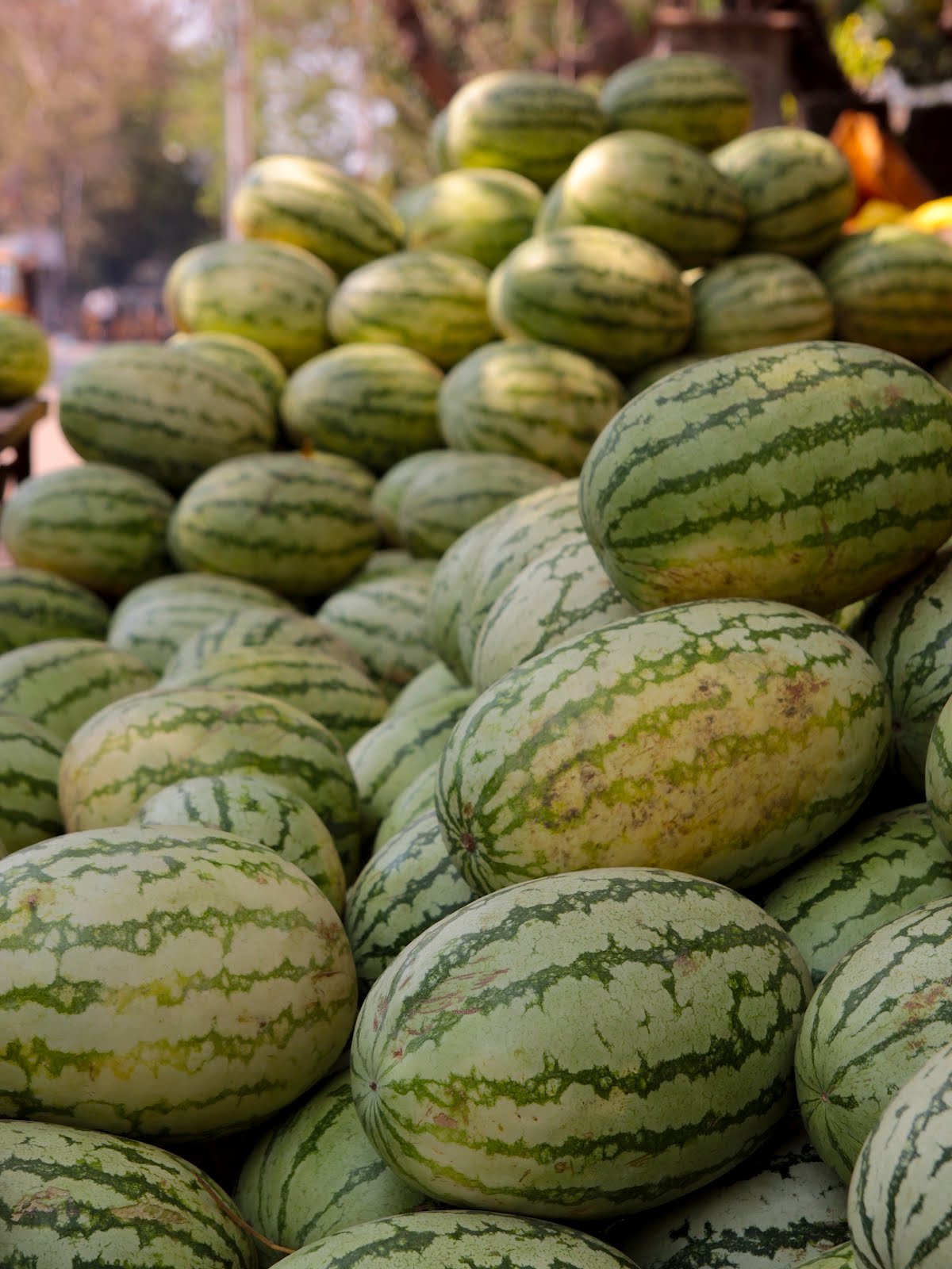 Hello Talalay: Watermelon Time, India