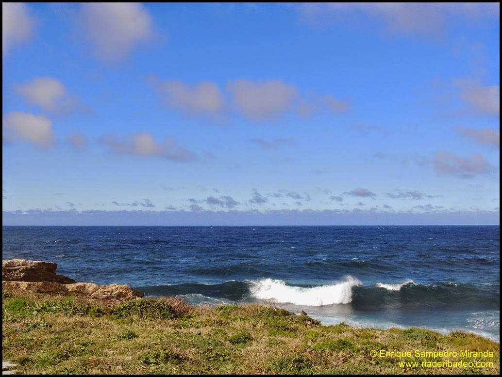Ría de Ribadeo: Mazcatos, os torpedos do mar