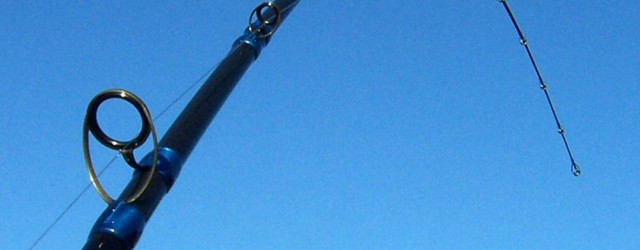 TASEK MANIA FISHING CLUB: JENIS-JENIS SENAR, JORAN PANCING BESERTA TIPSNYA