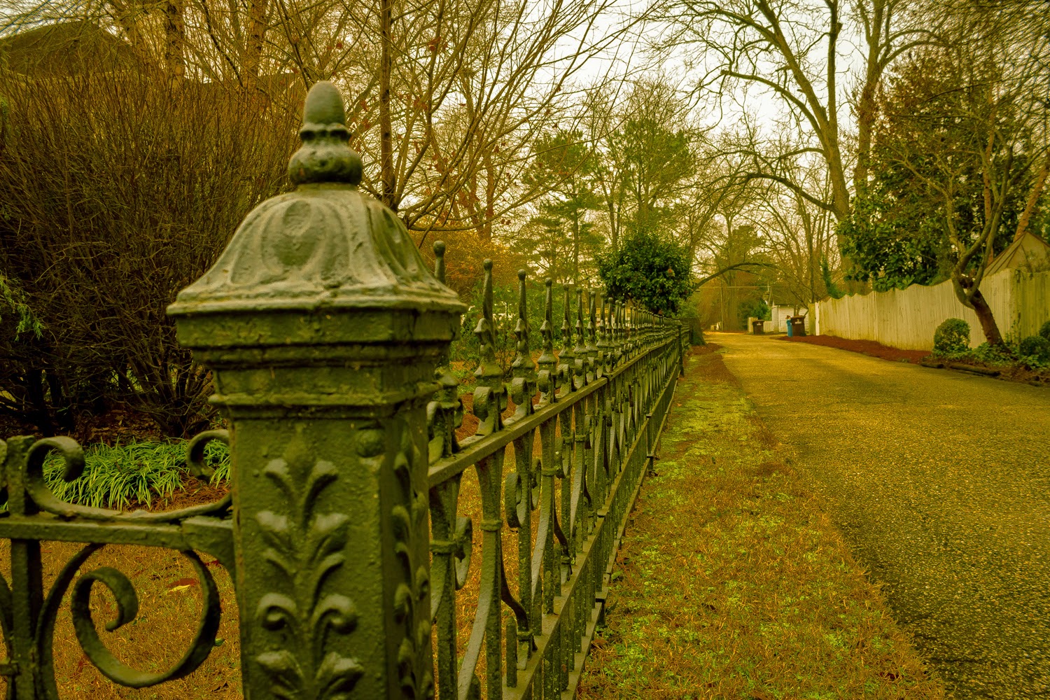 Natures Views Photography: Dunn Nc on a Deary Day