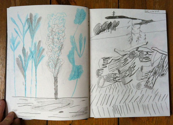 luke best: summer work