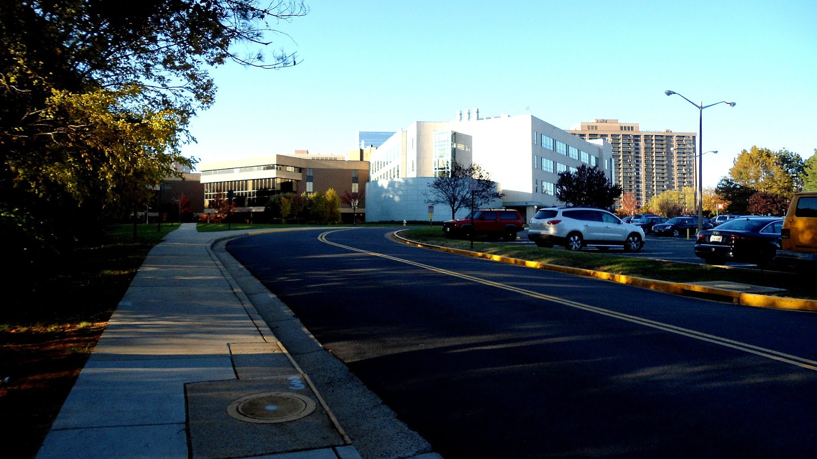 Northern Virginia Community College Alexandria - College Choices