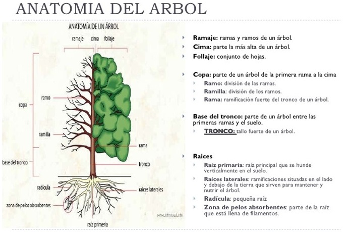 Tecnología de los Materiales UAP - IV ciclo: 11/22/15