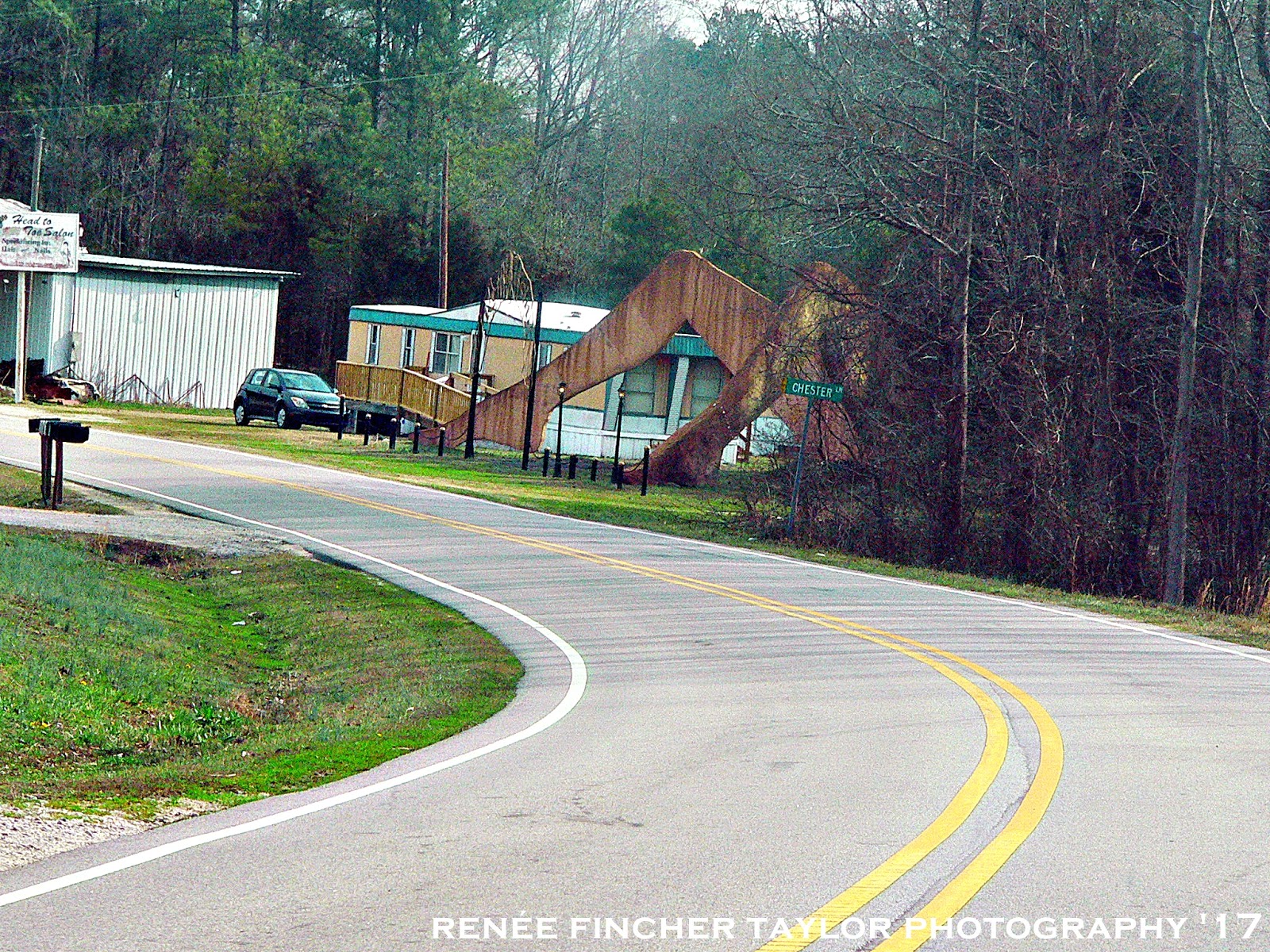 The Giant Legs of Henderson, NC