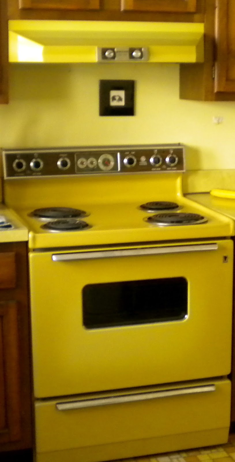 Ode to the Yellow Retro Stove | Indy's Veggie Fix