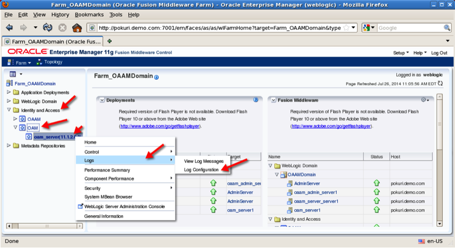 More than just Identity & Access Management: TIPS: Changing Oracle ...