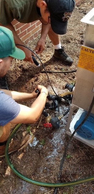 Fort St. Joseph Archaeological Project: What in Flotation do we have ...