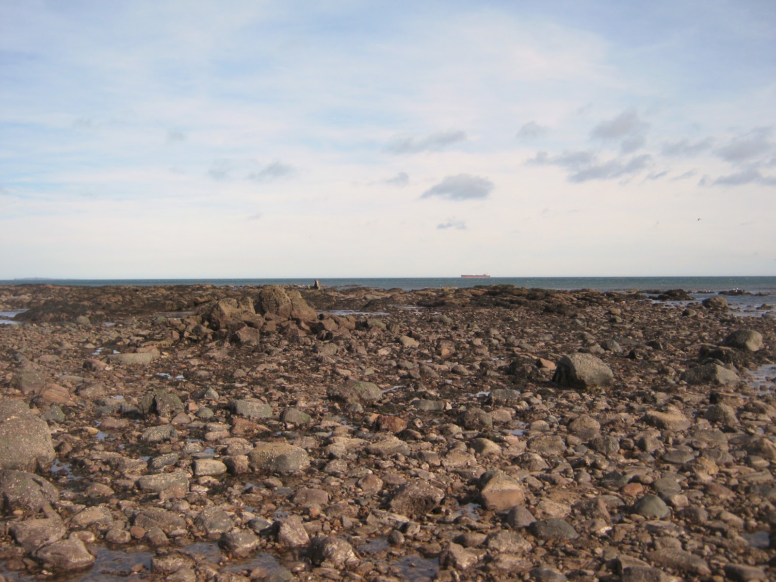 coastrider: Spring Tides Beach Rides...