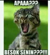 Kumpulan Meme Besok Senin Lucu Cocok Untuk Story - KEPOINDONESIA