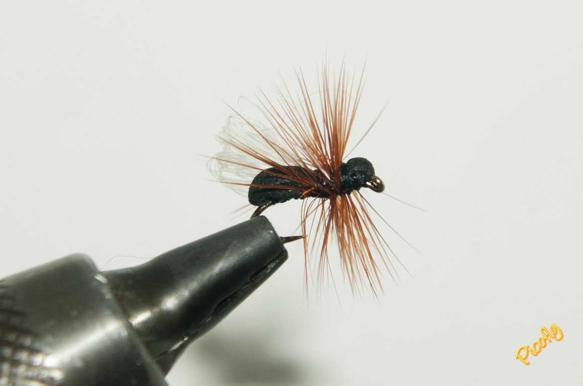 MONTAJES DE MOSCAS PASO A PASO DE PICOFLY: Hormiga alada (alua)