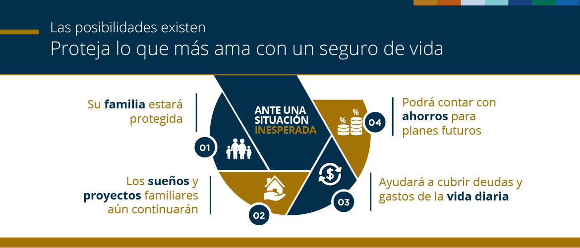 LIFE ACCESS SEGURO DE VIDA RETORNO-PALIG