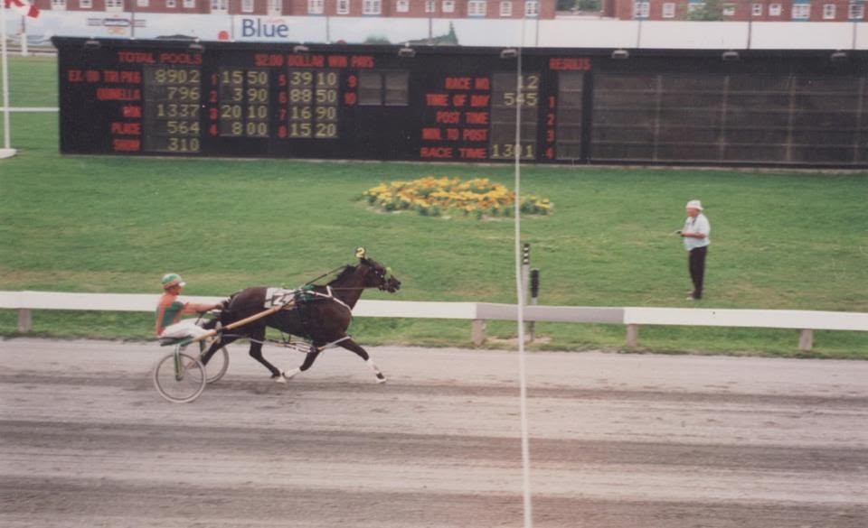 The FREDERICTON SCENE: The Greatest Horses ever developed at ...