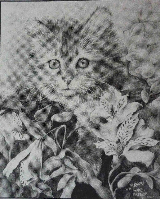 Realistic Animal Drawings: Realistic Cat Pencil Drawing