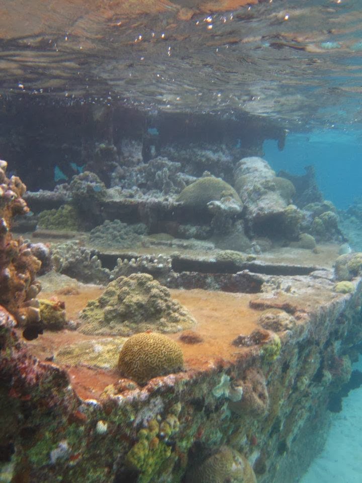 Panama Frequently Asked Questions answered by Locals - Questions ...