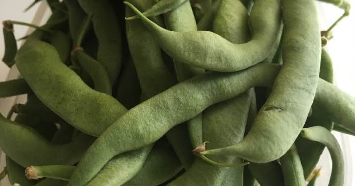 WashingtonGardener: Fenton Friday: New Seeds In