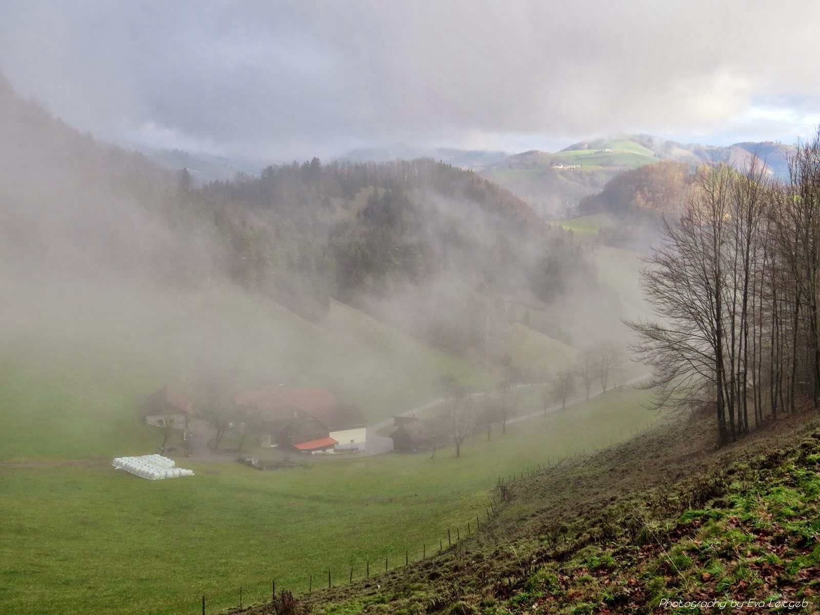 EVA'S WELT: ...nebelig