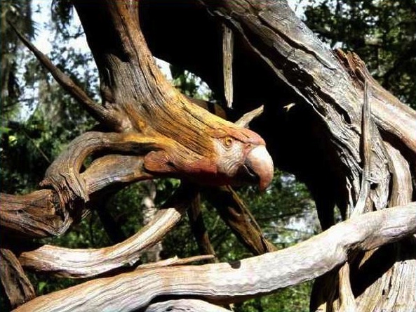 A Matter of Time - Uma incrível escultura de madeira feita por Paul ...