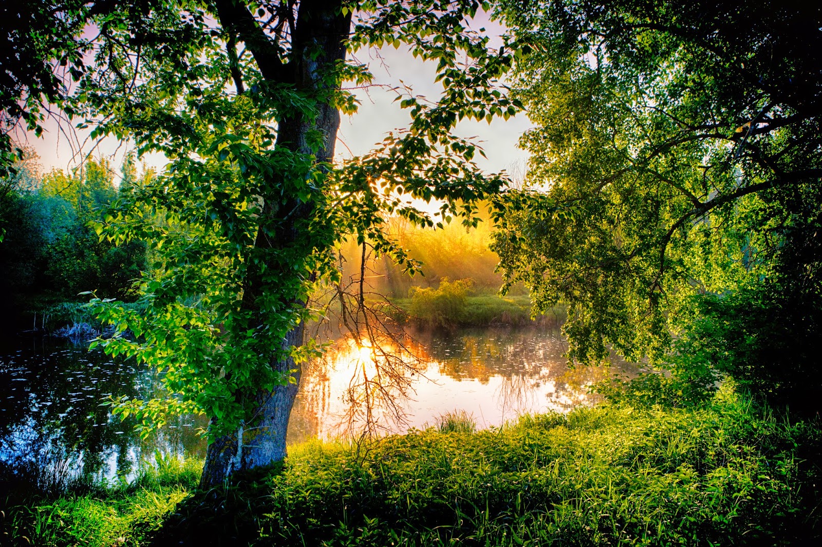 The Written Works of Angela Darling