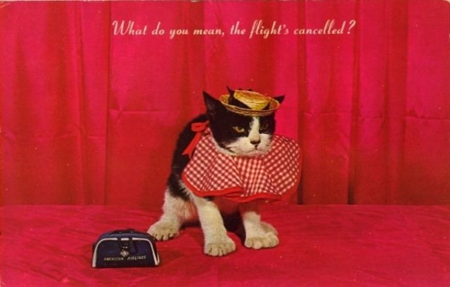 40 Hilariously Bad Vintage Postcards From Between the 1950s and 1970s ...