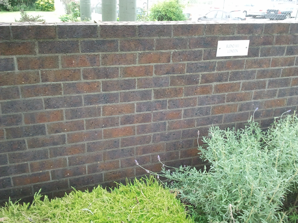 The House, The Car, The Kids...: Daniel Robertson Bricks