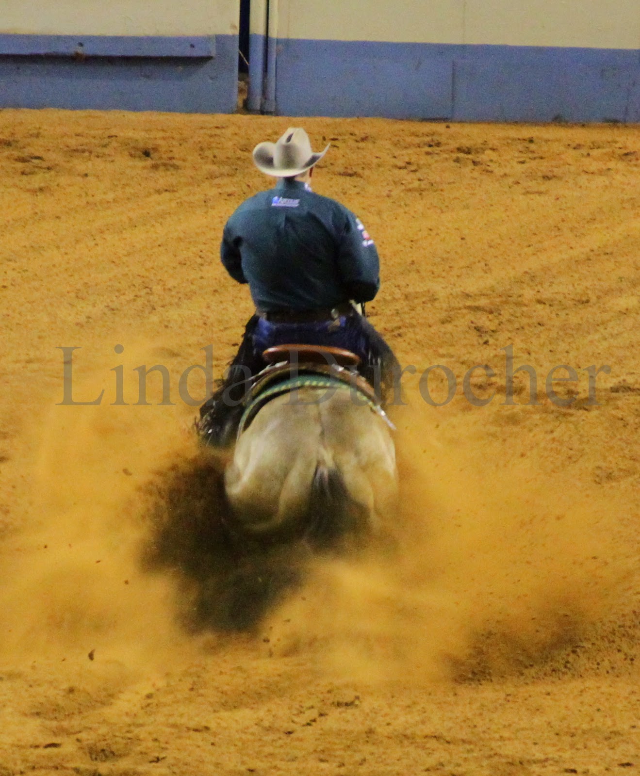 News feed and press release: NRHA Open Futurity finals Shots by Linda ...