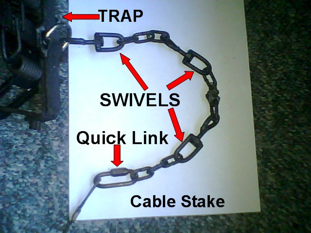 Ohio Goes Hunting: Foremost Coyote Hunting: Basic Coyote Trapping Equipment