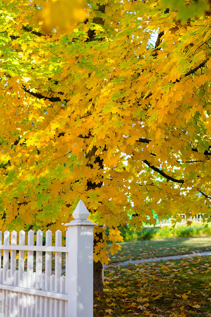 Anthony Dunn Photography: Fall Colors in Nevada City - Part 1