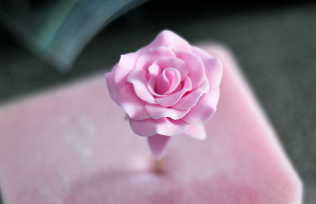 Tutorial de rosas simples