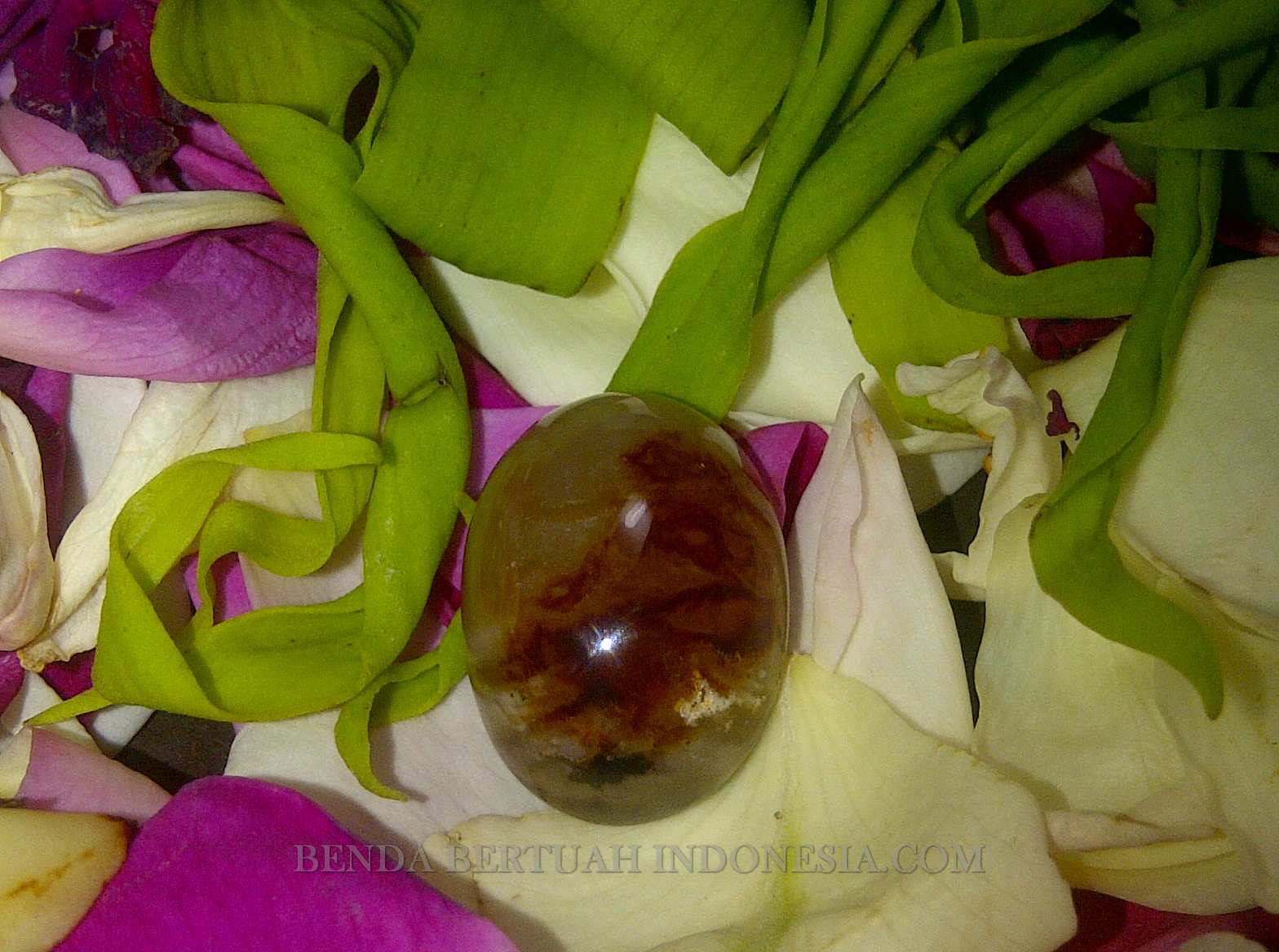 MUSTIKA RAJA JIN LAUT KIDUL - Benda Bertuah Indonesia