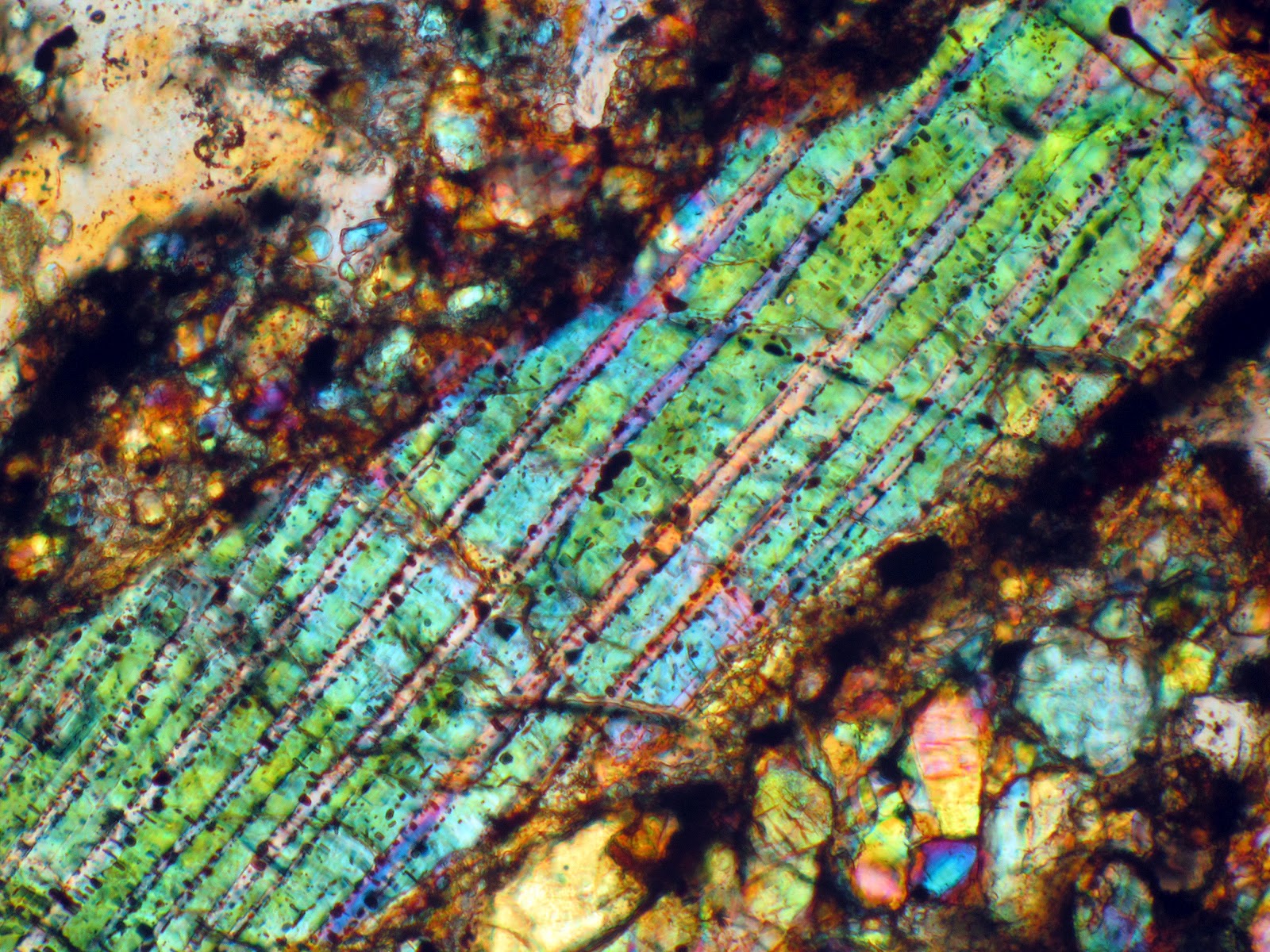 The Latest Worldwide Meteor/Meteorite News: NWA6386 Diogenite ...