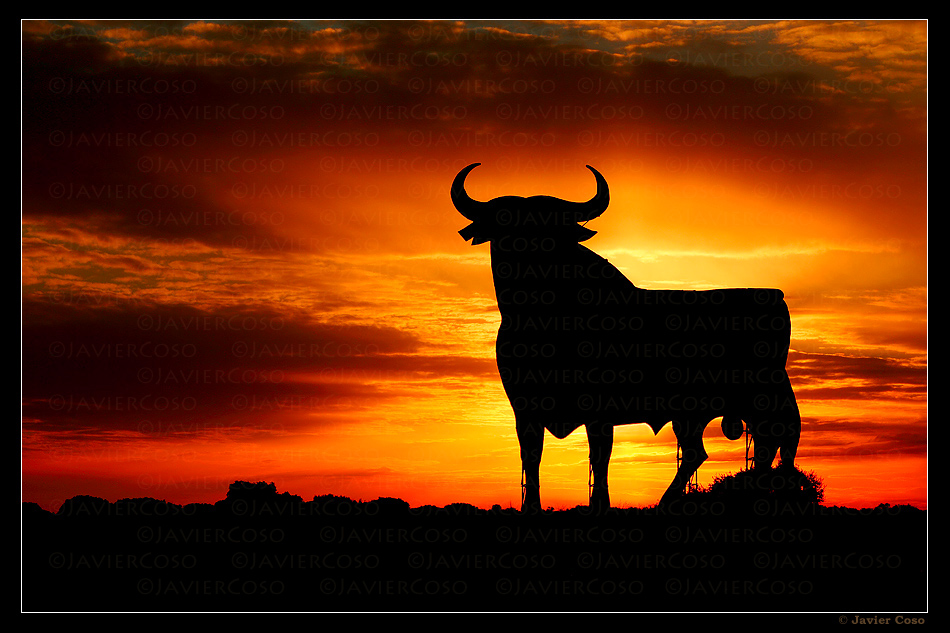 DE PODER A PODER: septiembre 2016