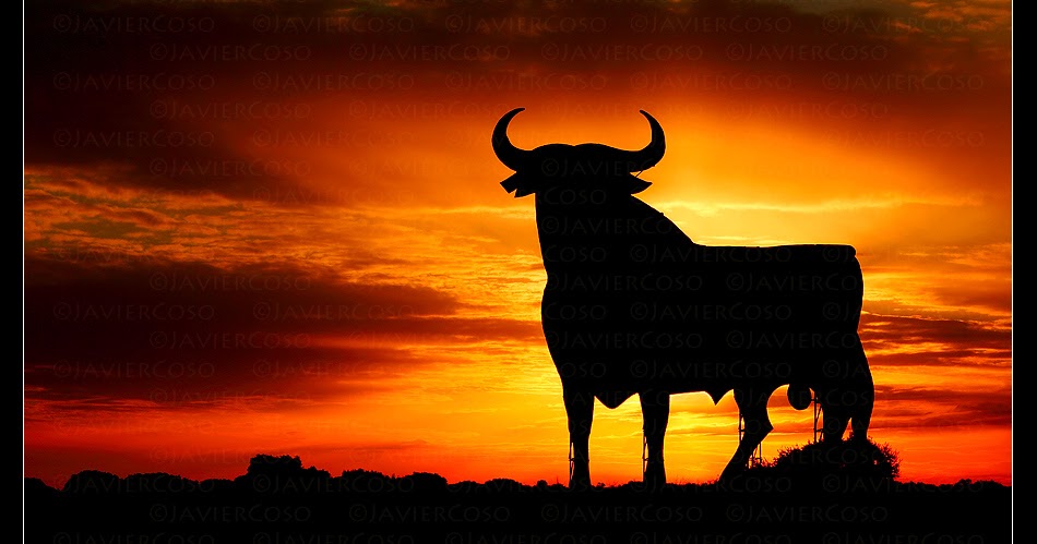 DE PODER A PODER: EL TORO DE OSBORNE; un clasico con historia.