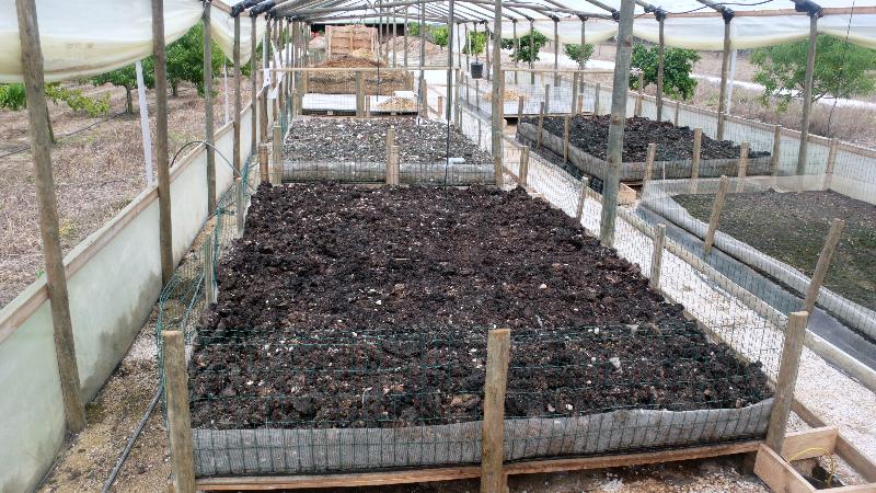 Penatos Ambientalistas: Vermicompostagem