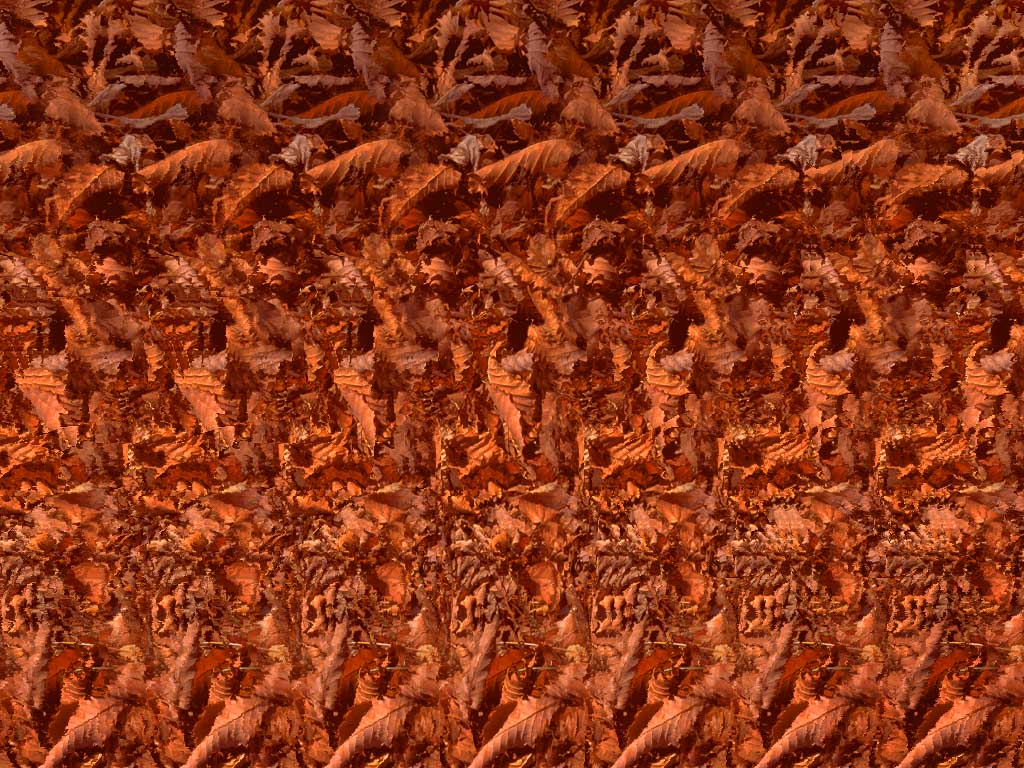 The Stereogram - A Stereograms Collection: What is a Stereogram?