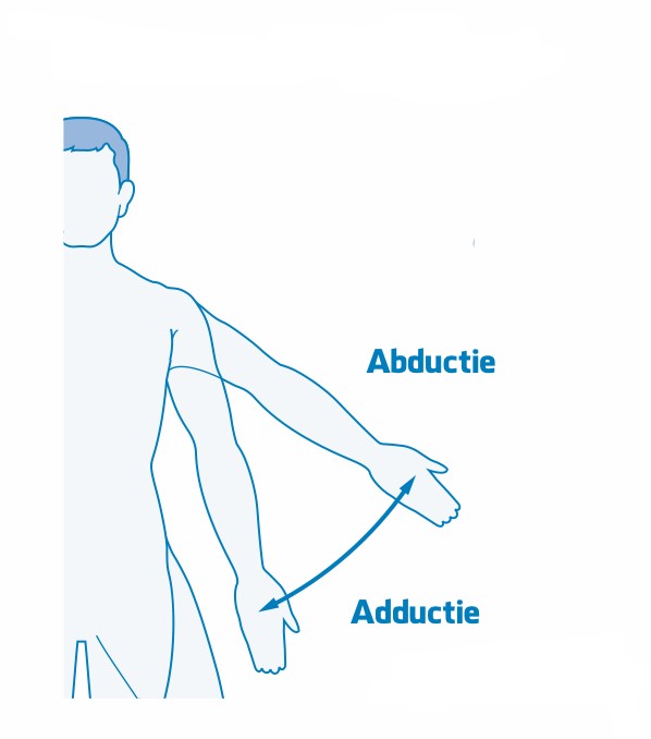 train yourself: Sistemul muscular si tipurile de miscare